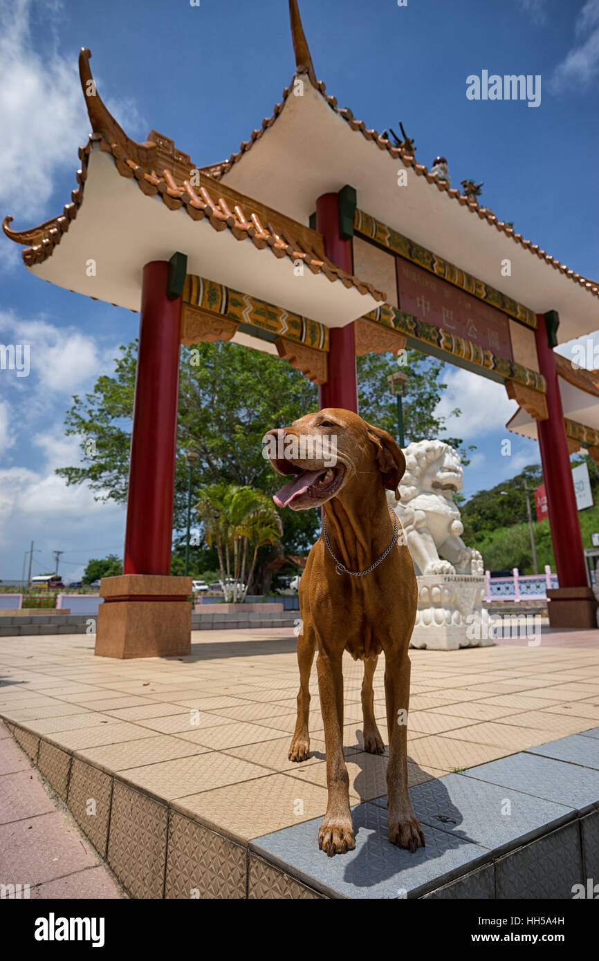 Presenza simbolica immagini e fotografie stock ad alta risoluzione - Alamy