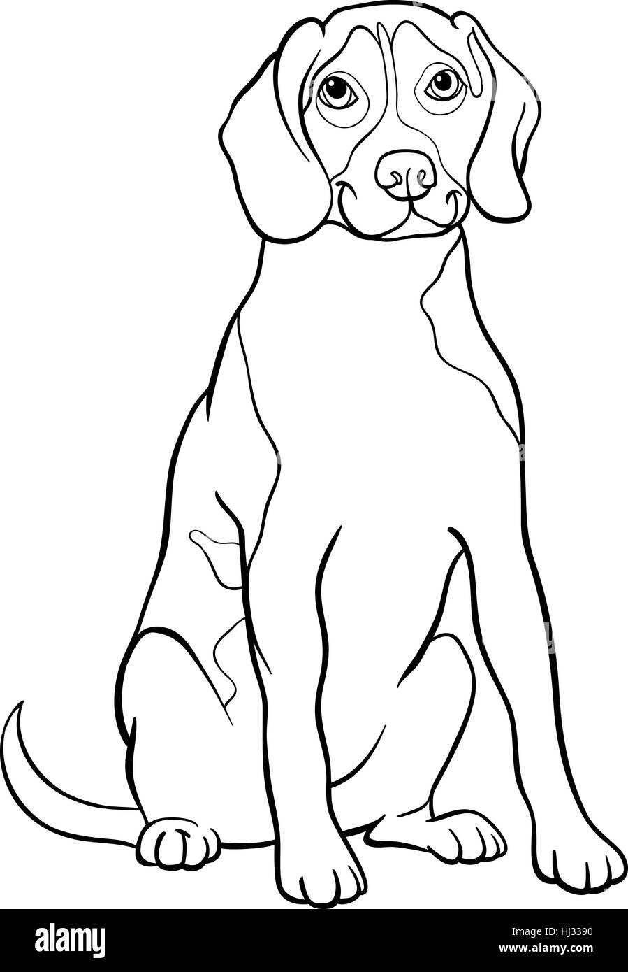 Bianco e Nero Cartoon illustrazione della cute del cane Beagle o ...