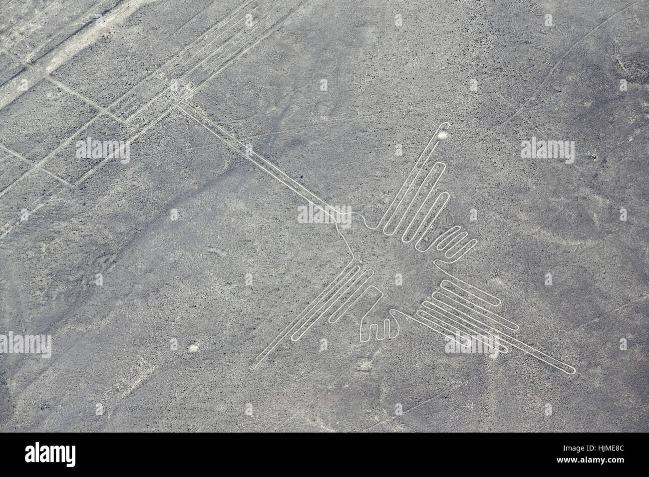 Nazca lines geoglyphs peru immagini e fotografie stock ad alta ...
