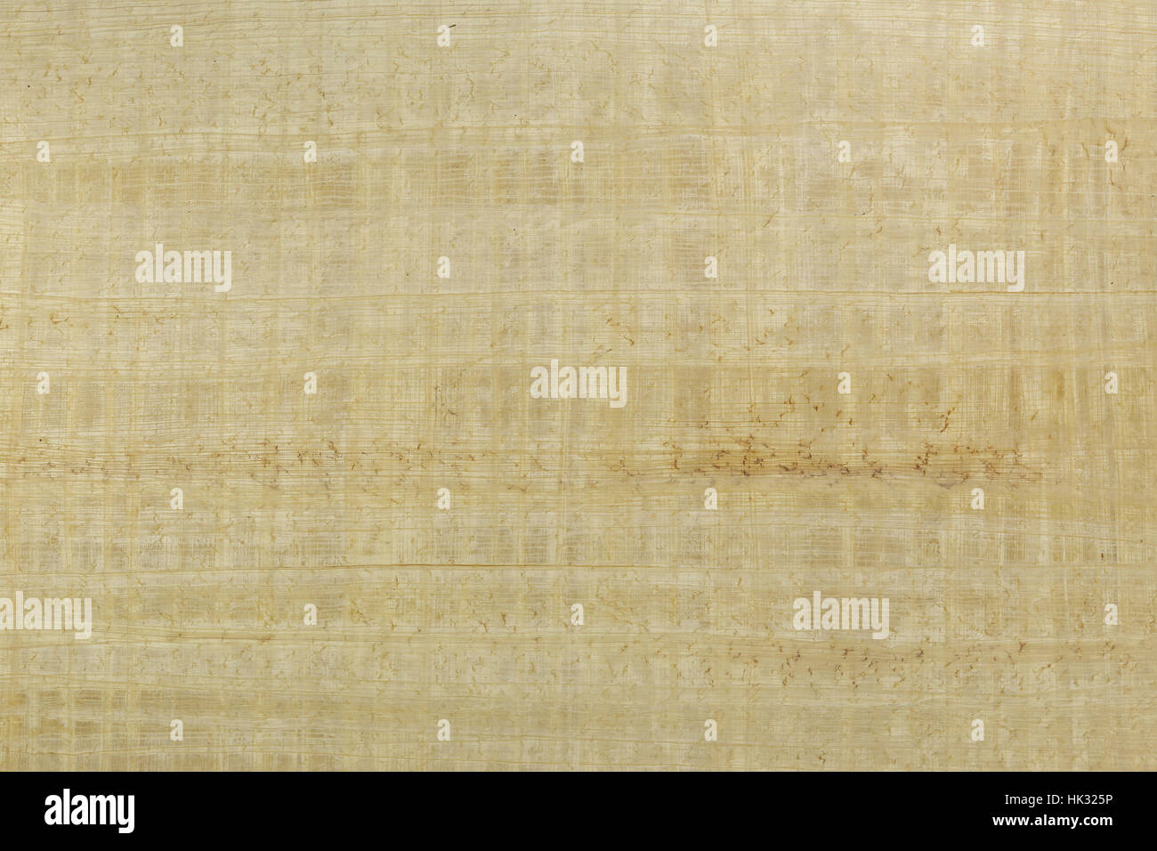 Papiro sfondo immagini e fotografie stock ad alta risoluzione - Alamy