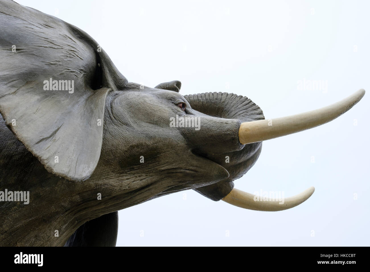 La vita come un circo immagini e fotografie stock ad alta risoluzione ...