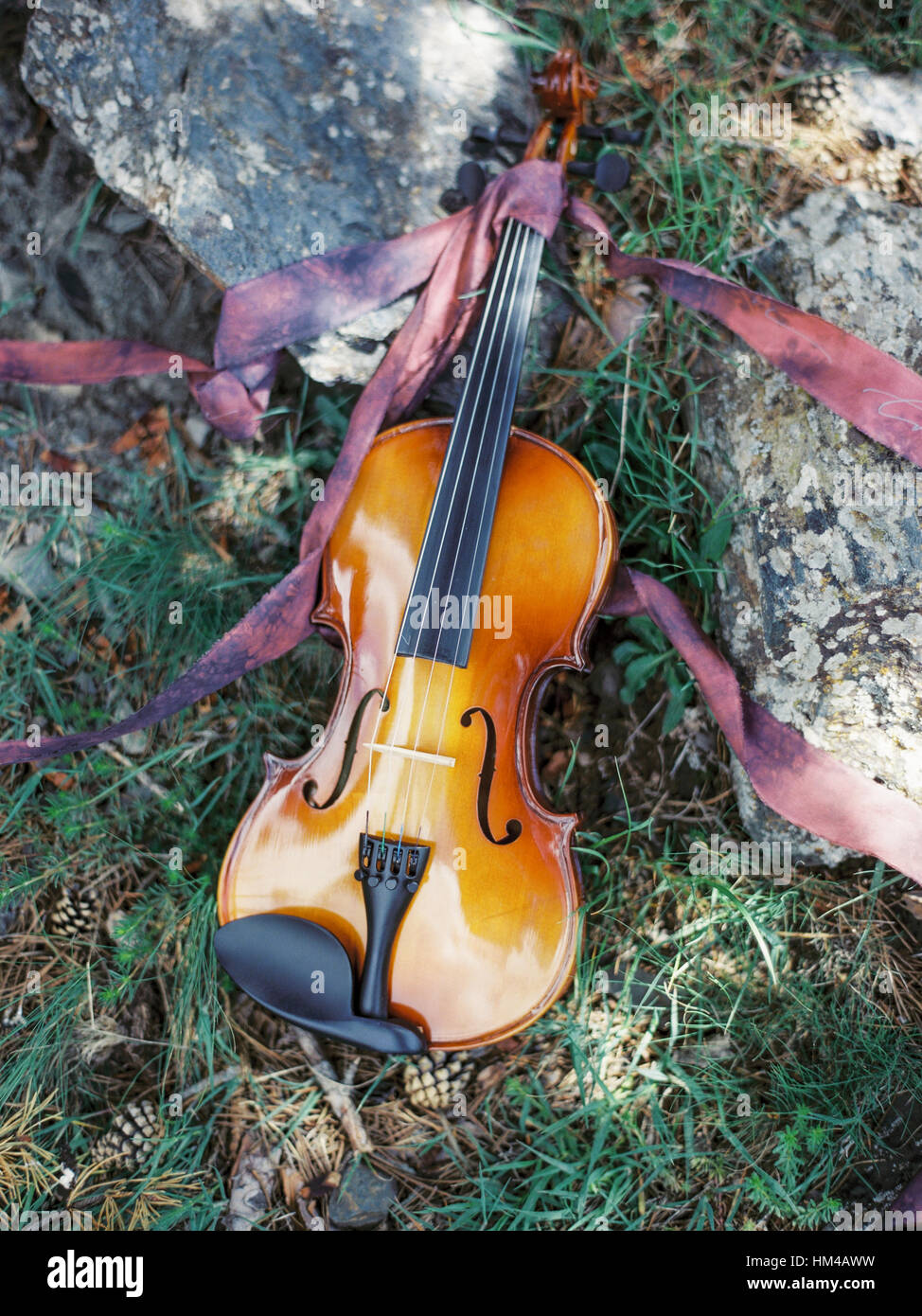 Violino barocco immagini e fotografie stock ad alta risoluzione - Alamy