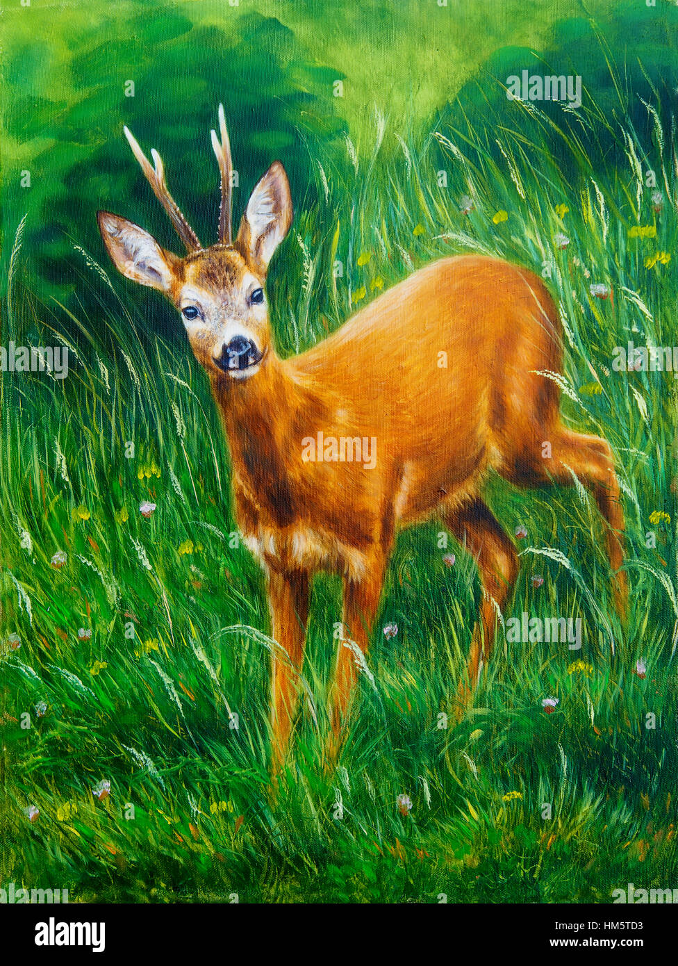 Capriolo disegno immagini e fotografie stock ad alta risoluzione - Alamy