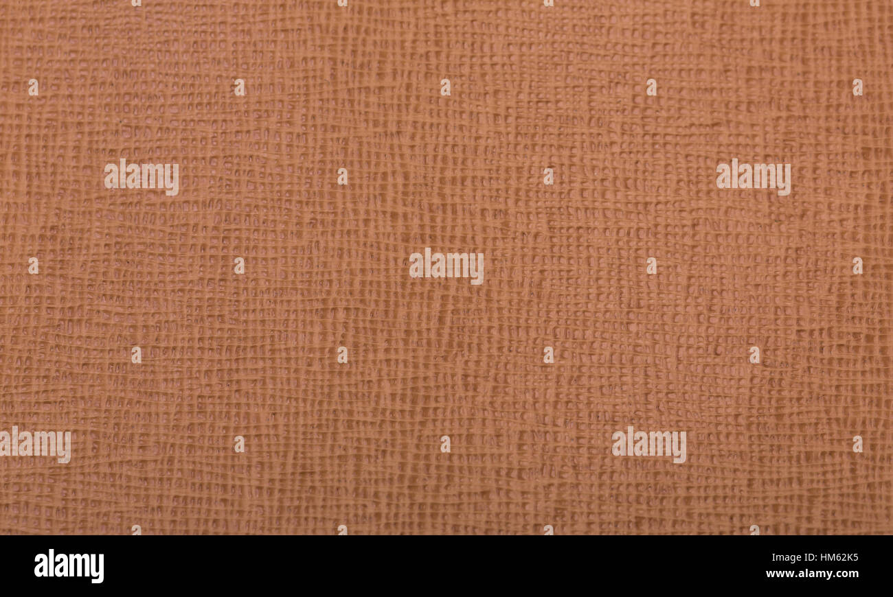 Pelle dalla consistenza granulare immagini e fotografie stock ad alta ...