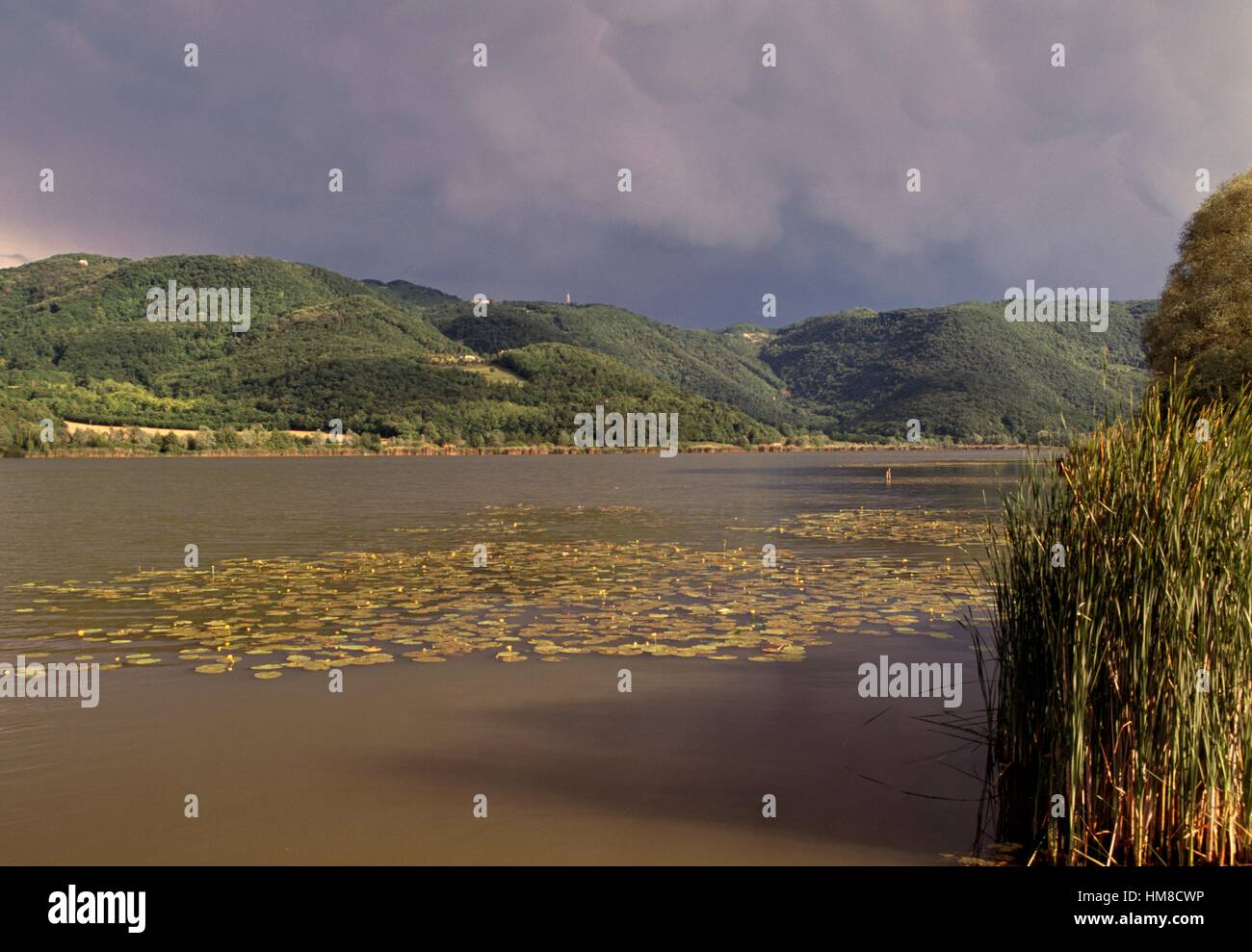 Lago di fimon immagini e fotografie stock ad alta risoluzione - Alamy