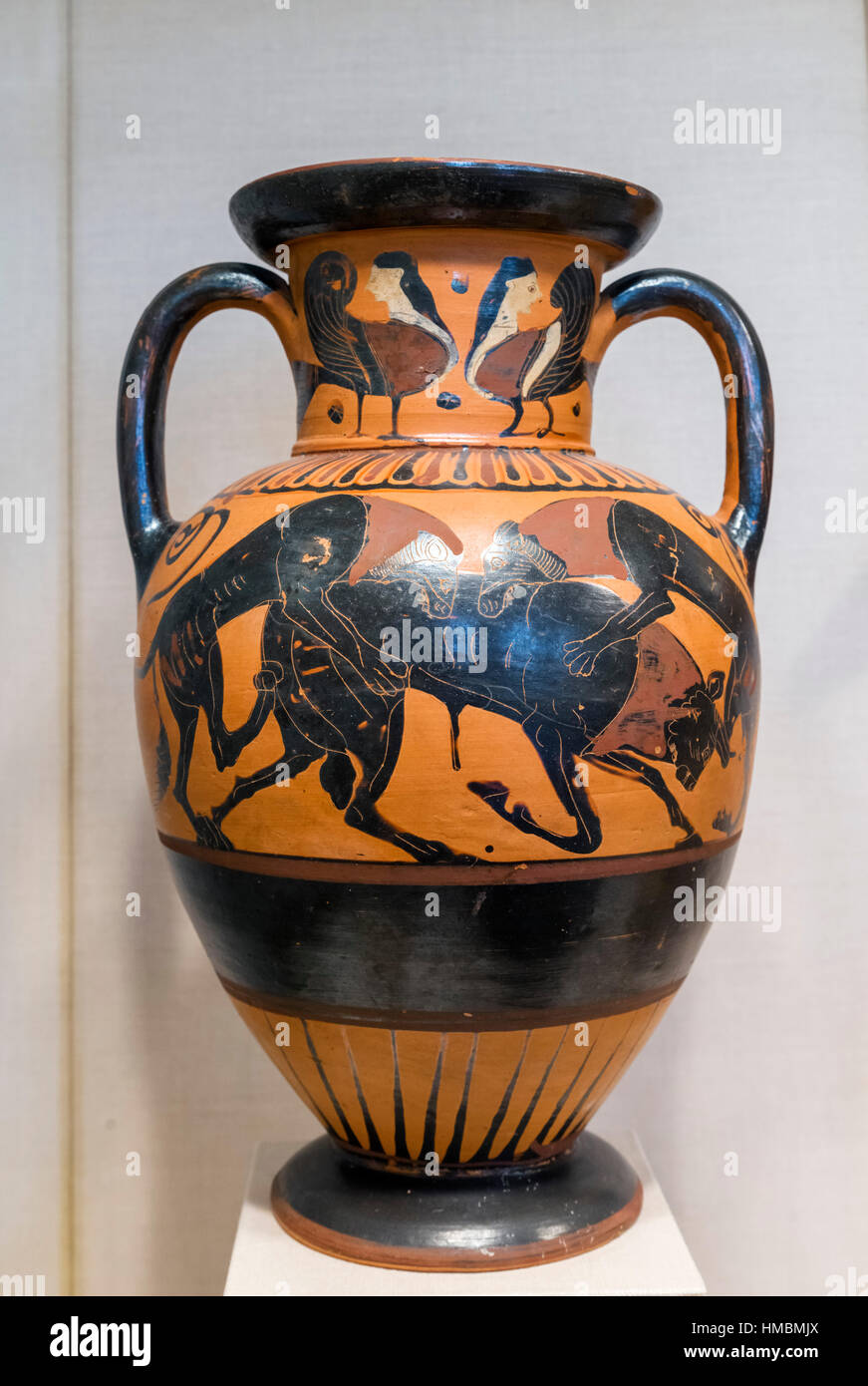 Anfora greca immagini e fotografie stock ad alta risoluzione - Alamy