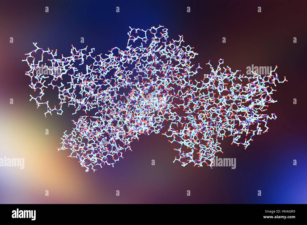 Fattore letale antrace immagini e fotografie stock ad alta risoluzione ...