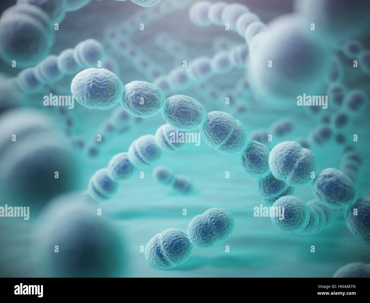 Streptococcus pneumoniae o pneumococco batteri. 3d illustrazione Foto ...