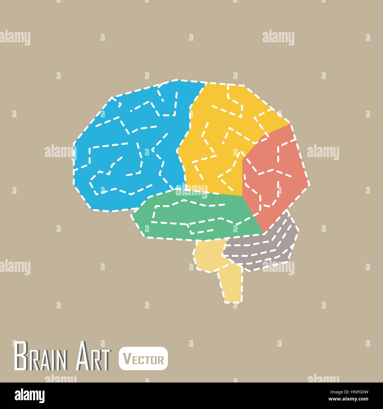 Anatomia cerebrale ( lobo frontale , lobo parietale , lobo temporale ...