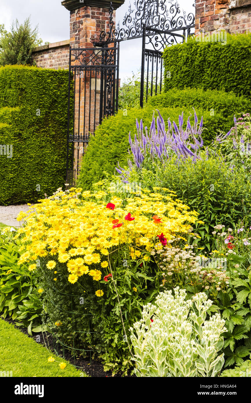 Aiuola erbacea Immagini e Fotos Stock - Alamy