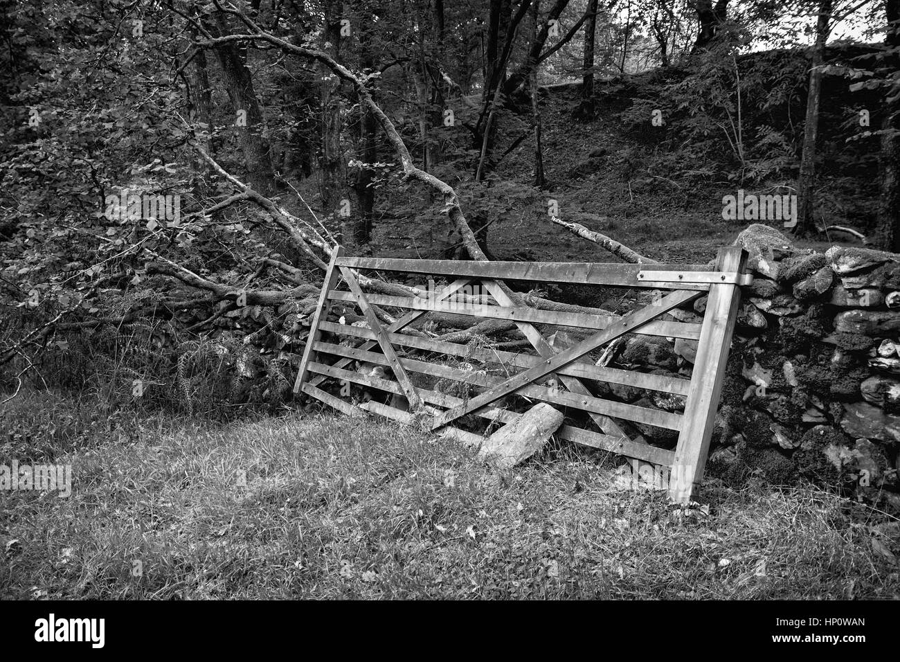 Vecchio cancello nella scena rurale immagini e fotografie stock ad alta ...