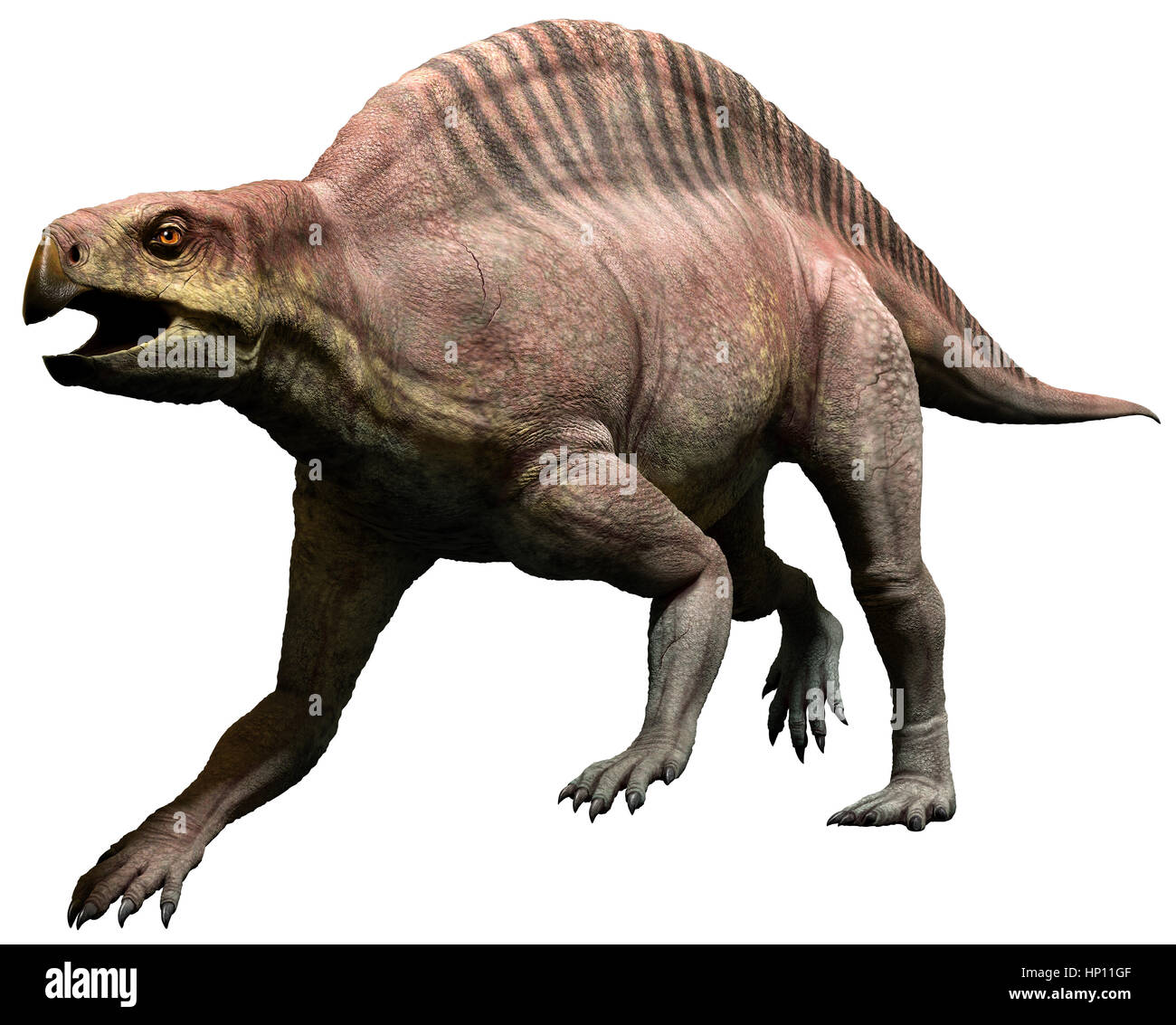 Lotosaurus adentus immagini e fotografie stock ad alta risoluzione - Alamy