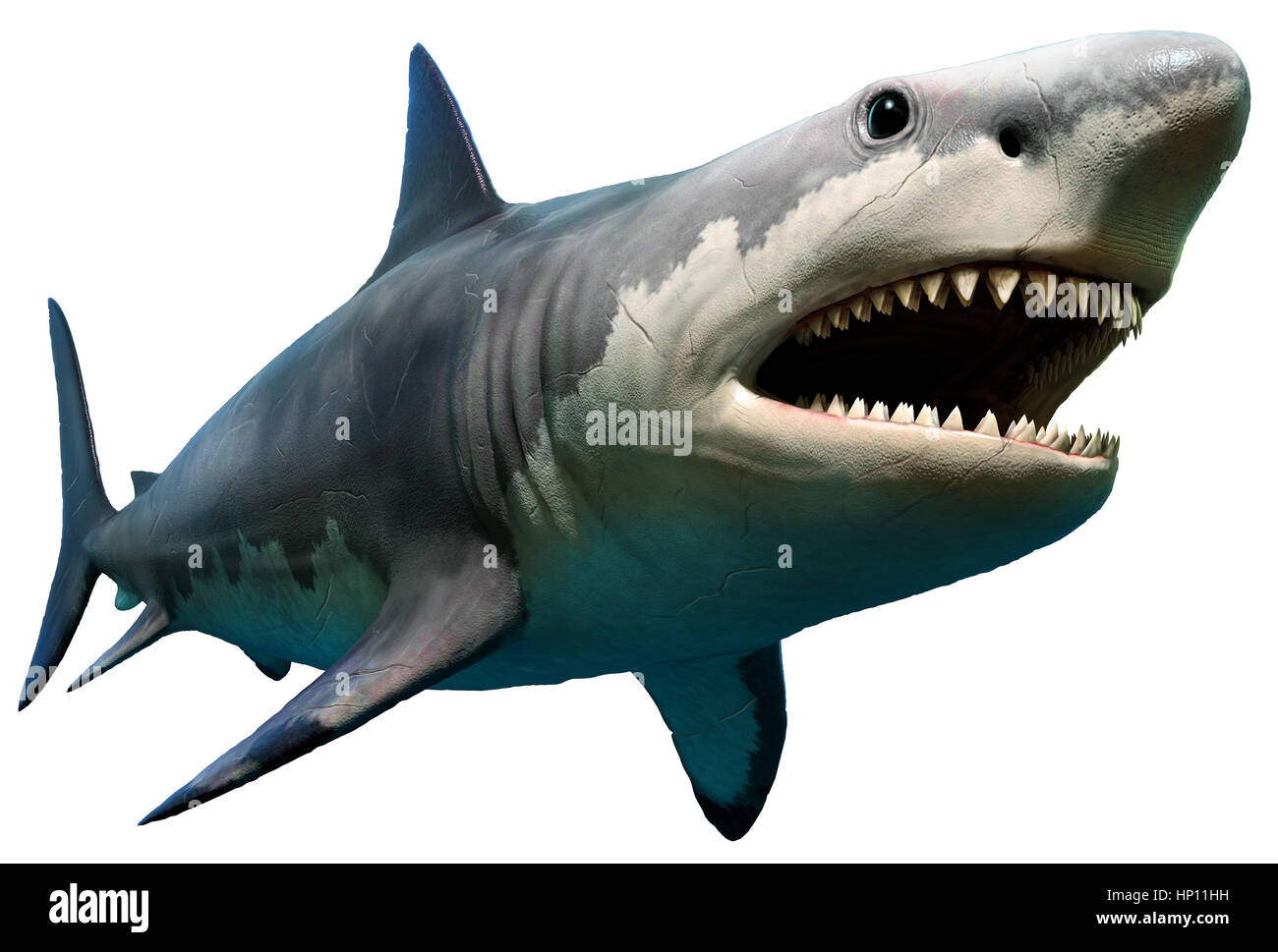 Megalodon hunting immagini e fotografie stock ad alta risoluzione - Alamy