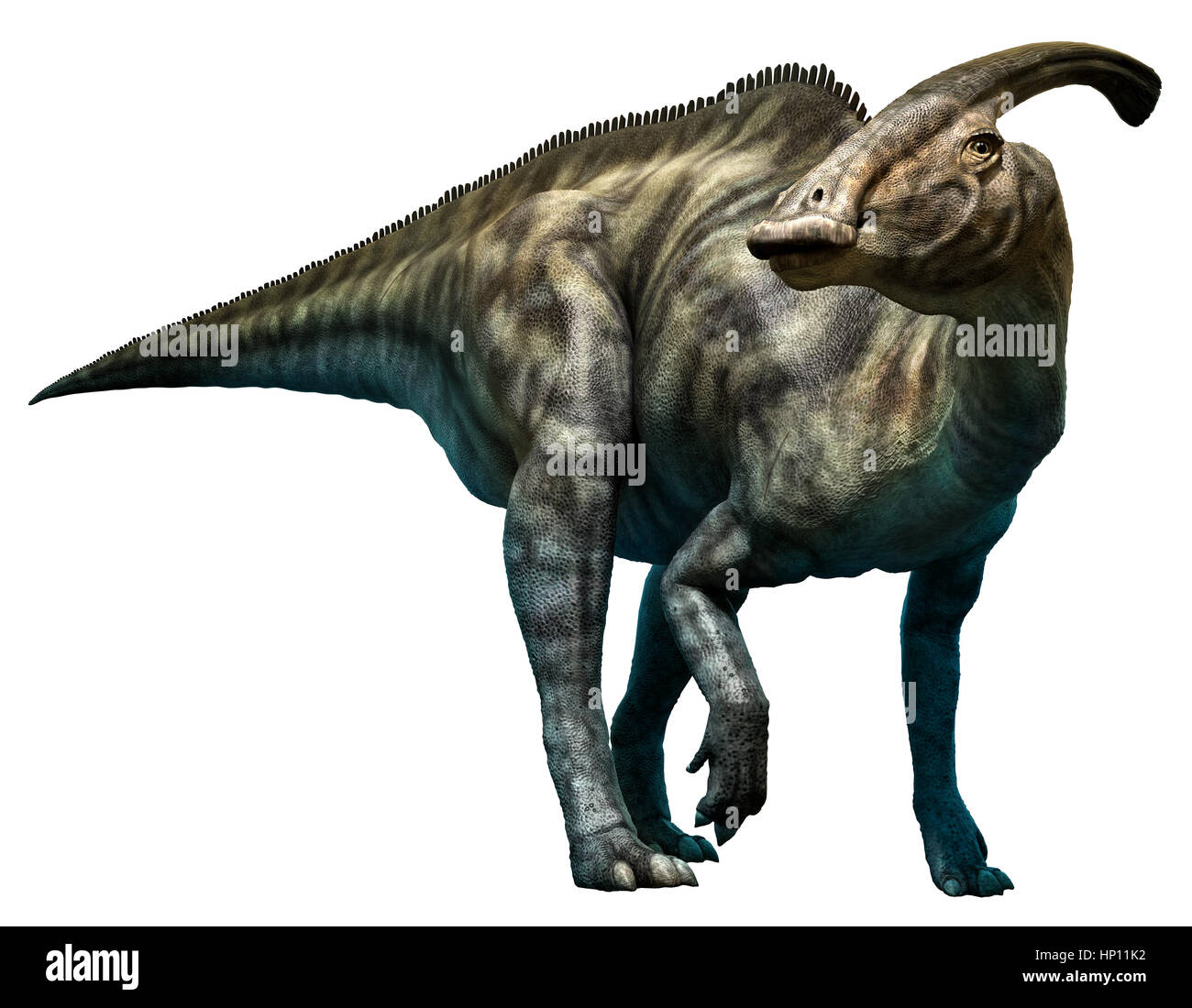 Parasaurolophus dinosaur immagini e fotografie stock ad alta ...