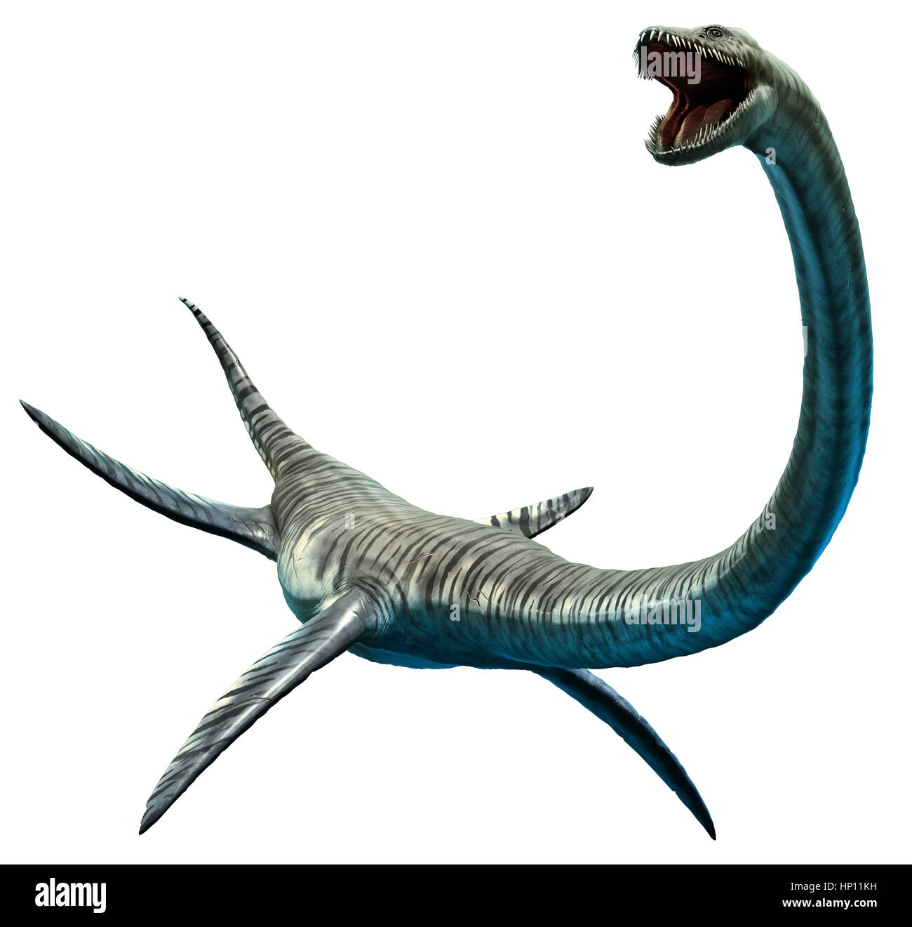 Large plesiosaur immagini e fotografie stock ad alta risoluzione - Alamy