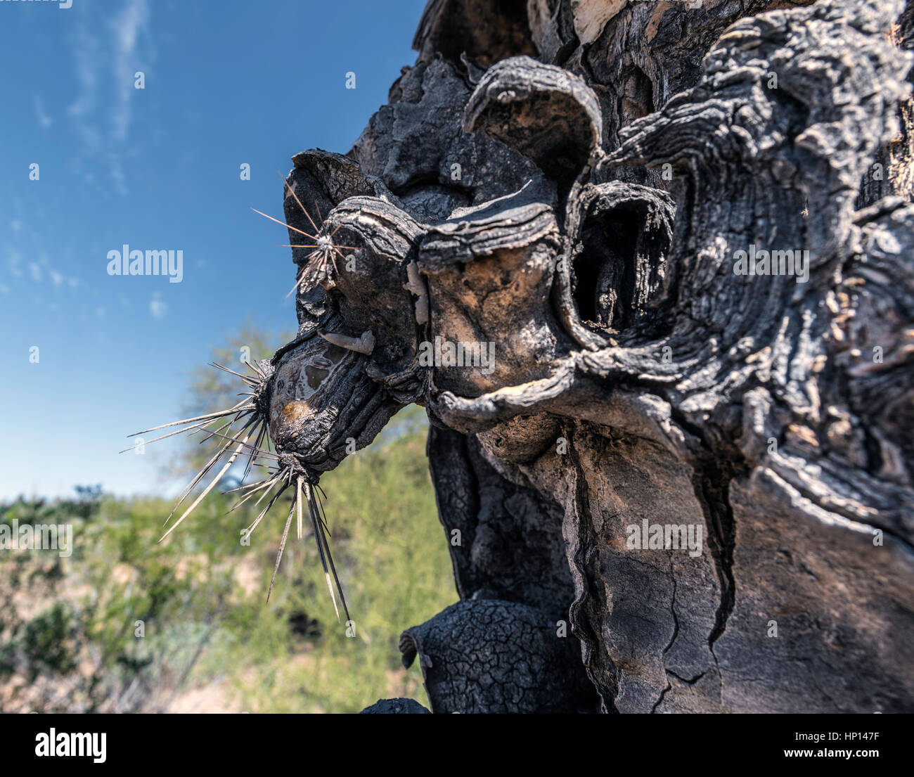 Madre morente immagini e fotografie stock ad alta risoluzione - Alamy