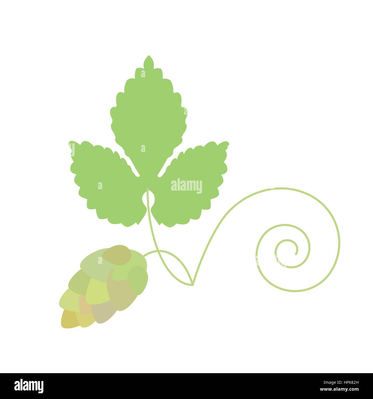 Disegno di luppolo Immagini senza sfondo e Foto Stock ritagliate - Alamy