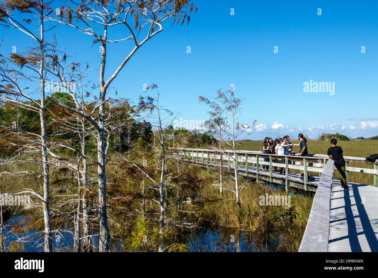 Florida National Park, squalo Slough, Pa-Hay-o-Kee, Pahayokee Overlook ...