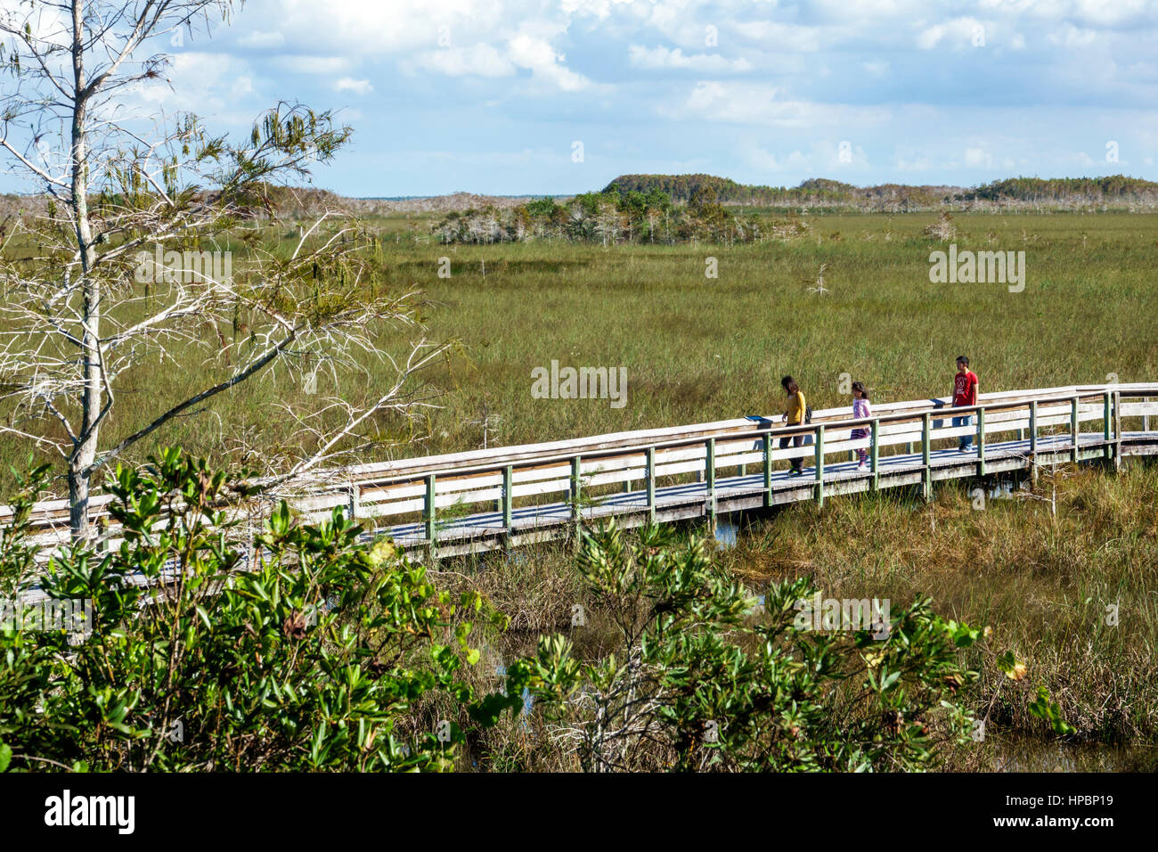 Florida National Park, Shark Slough, Pa-Hay-o-Kee, Pahayokee Overlook ...