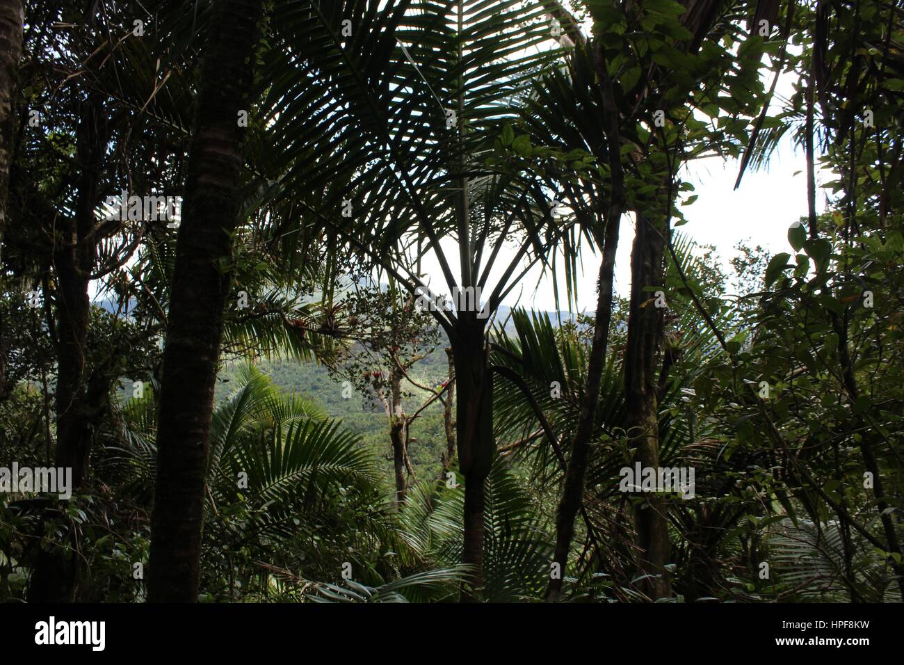 El yunque montagne immagini e fotografie stock ad alta risoluzione - Alamy