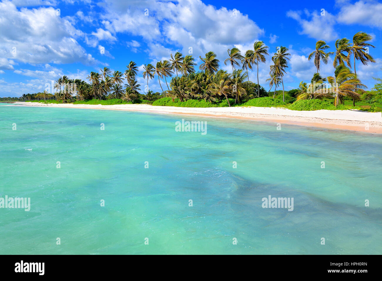 Isola tropicale immagini e fotografie stock ad alta risoluzione - Alamy