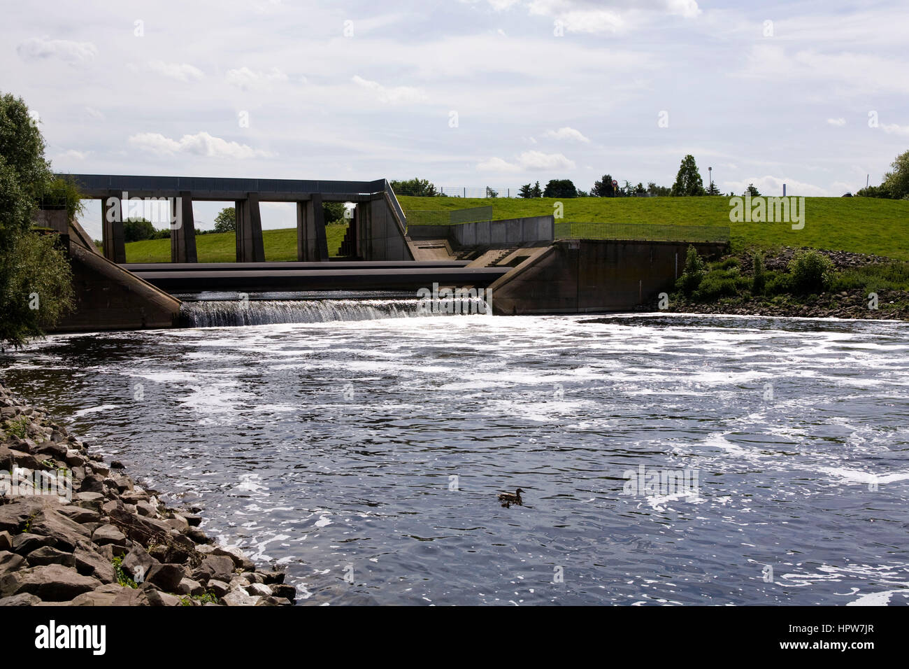 Foce nel fiume reno immagini e fotografie stock ad alta risoluzione - Alamy