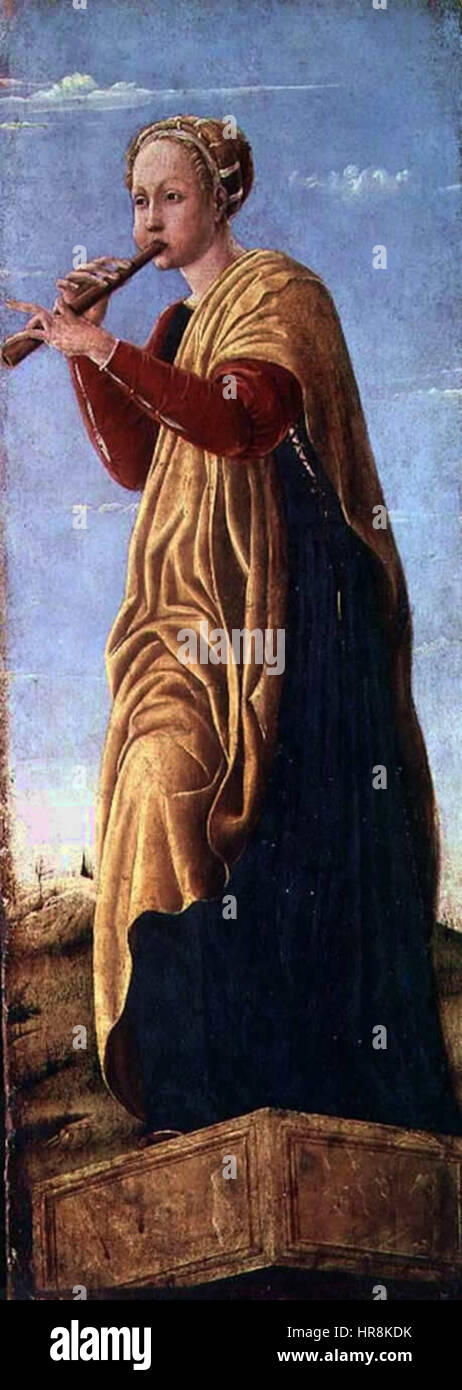 Musa euterpe immagini e fotografie stock ad alta risoluzione - Alamy