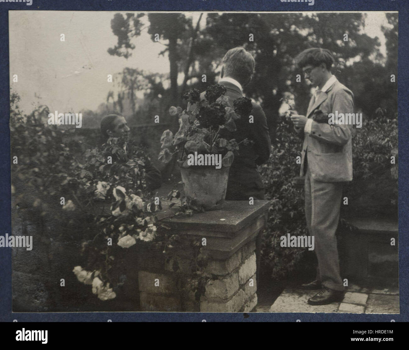 Design di edward turner immagini e fotografie stock ad alta risoluzione ...