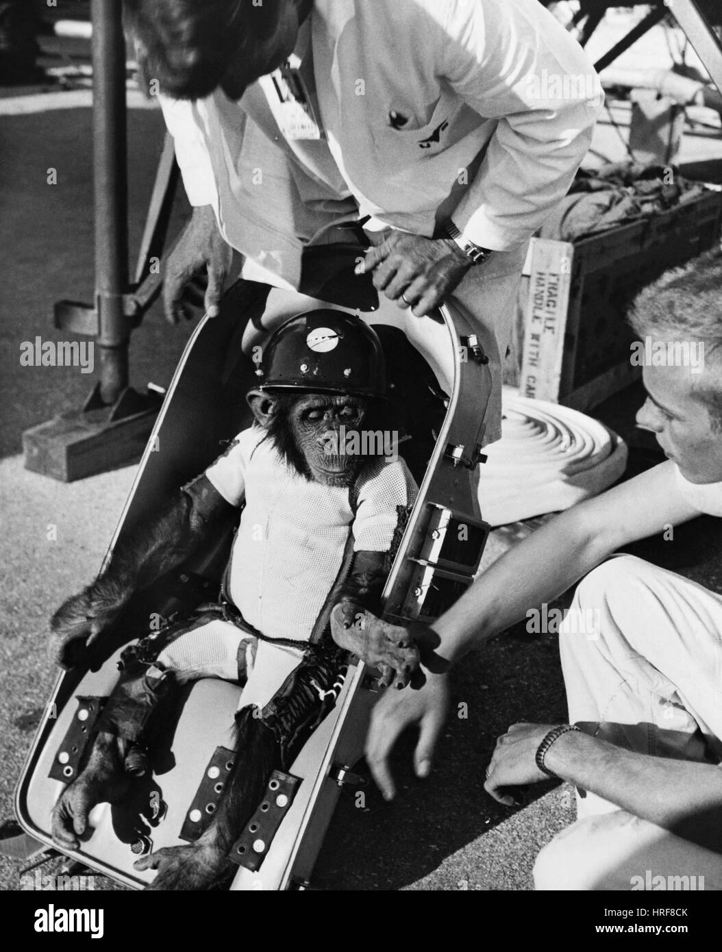 La guerra fredda e la corsa allo spazio immagini e fotografie stock ad ...