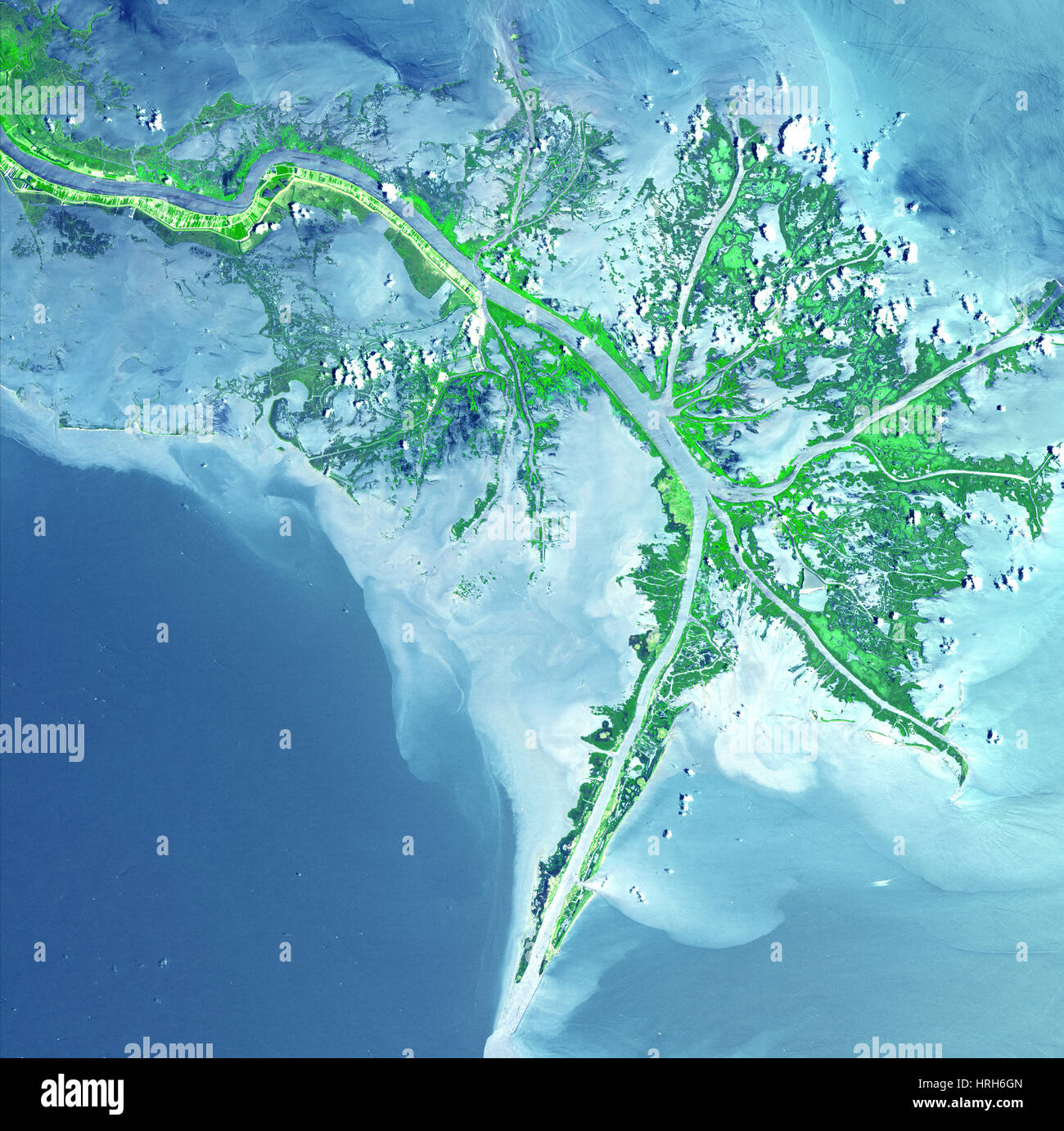 Satellite image mississippi river delta immagini e fotografie stock ad ...