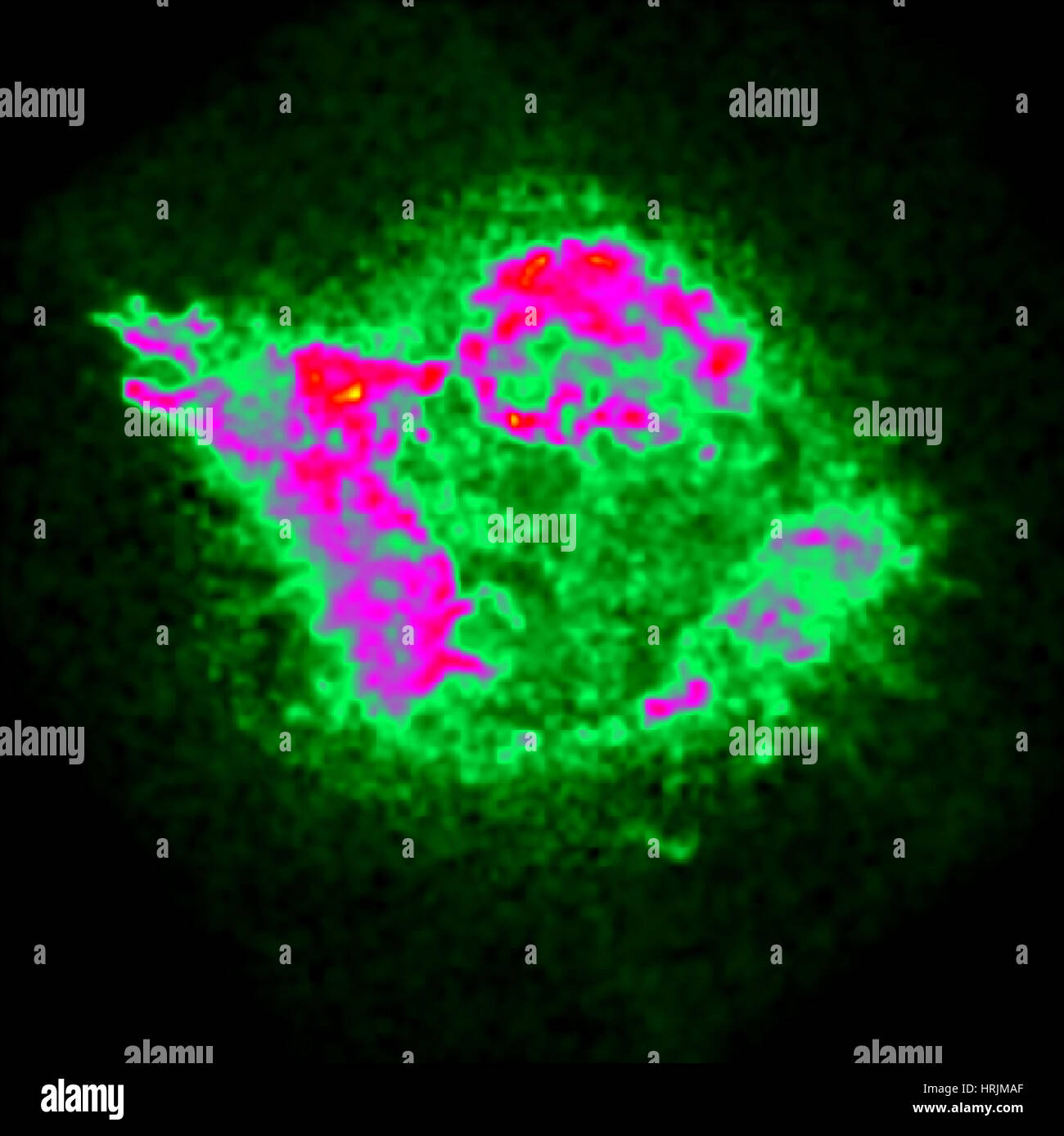Mappa degli elementi pesanti immagini e fotografie stock ad alta ...