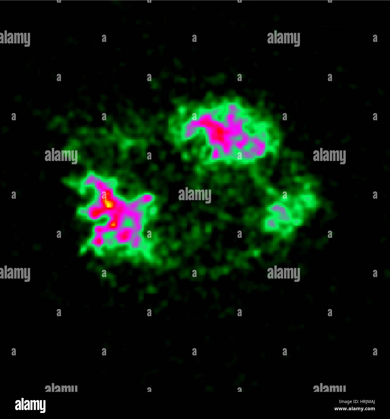 Mappa degli elementi pesanti immagini e fotografie stock ad alta ...