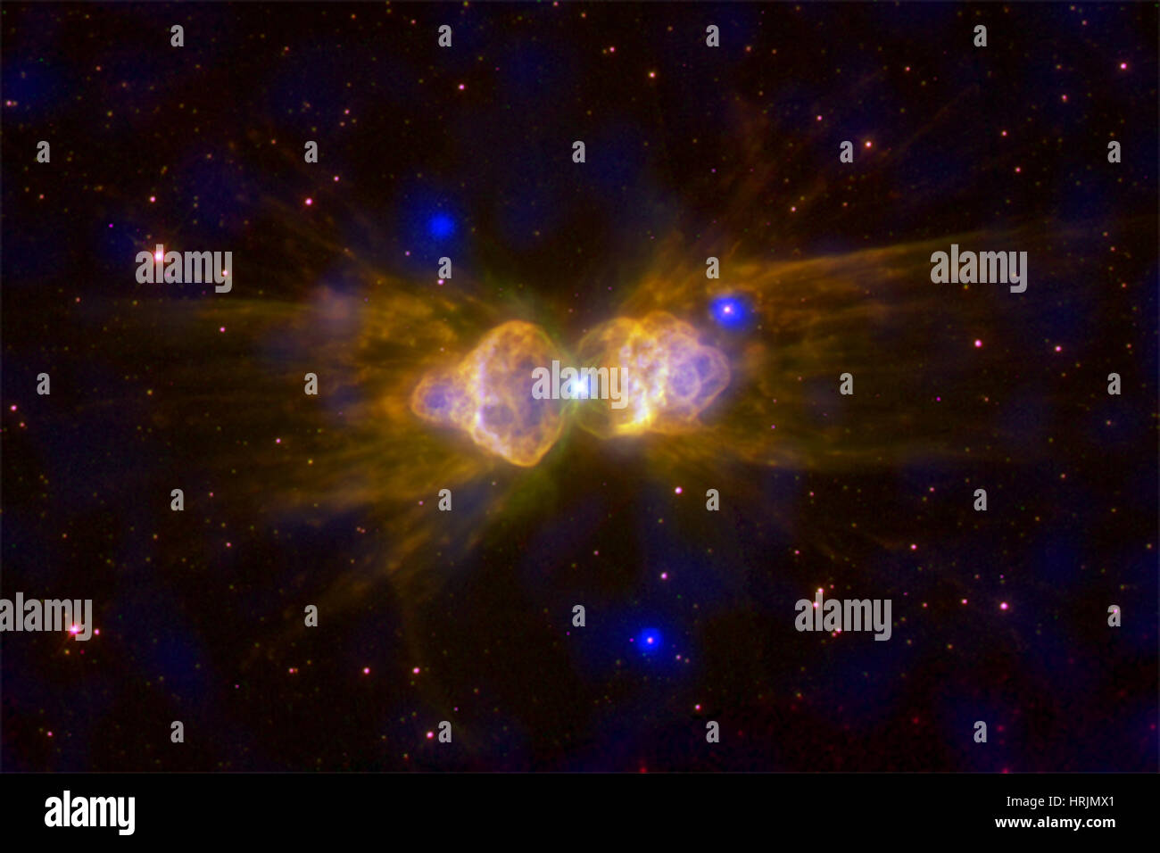 La nebulosa della formica immagini e fotografie stock ad alta ...