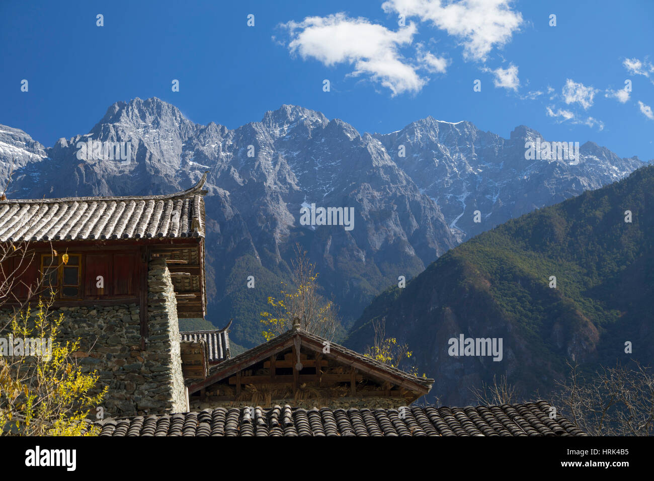 Sentiero di montagna della tigre immagini e fotografie stock ad alta ...