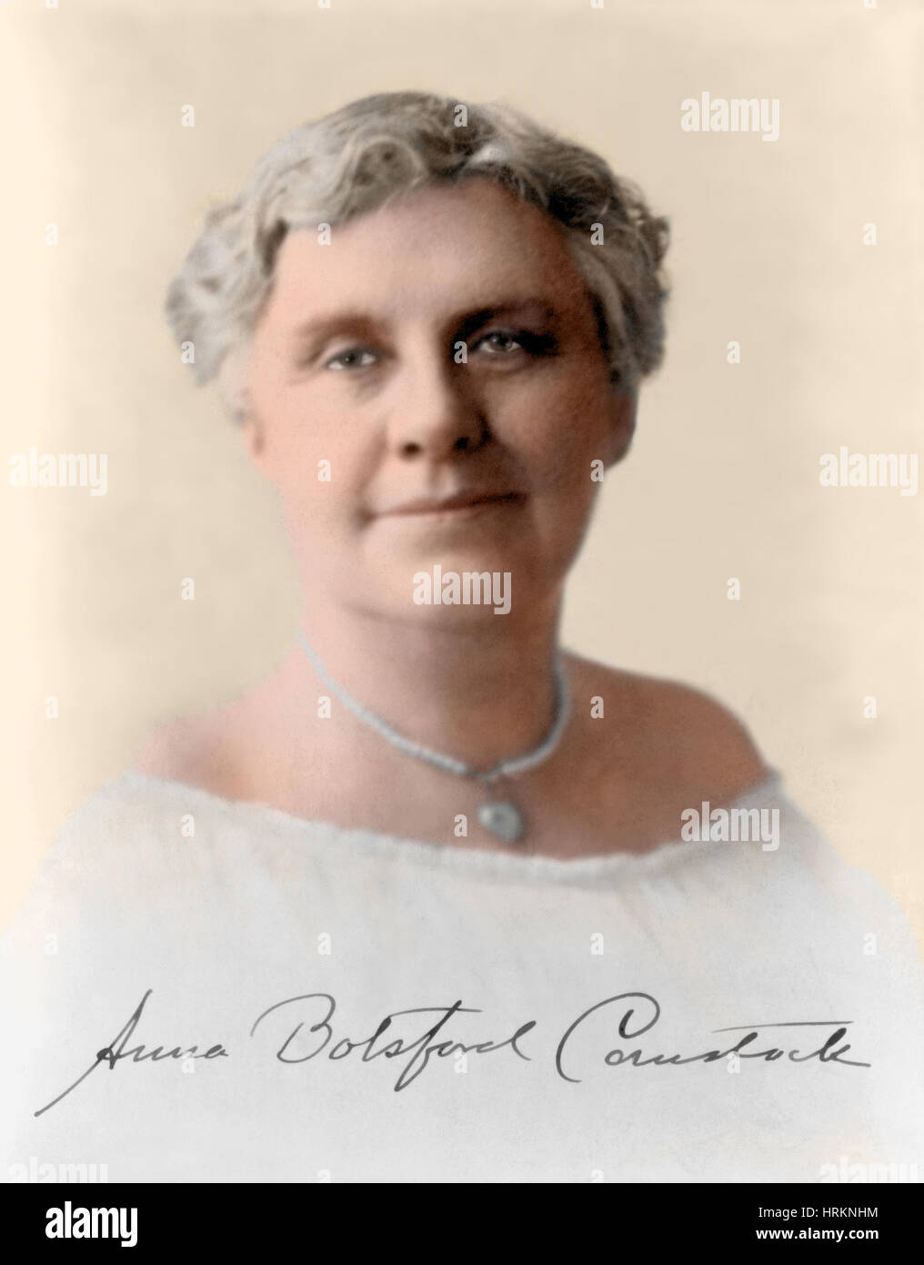 Artista e illustratore della fauna selvatica immagini e fotografie ...