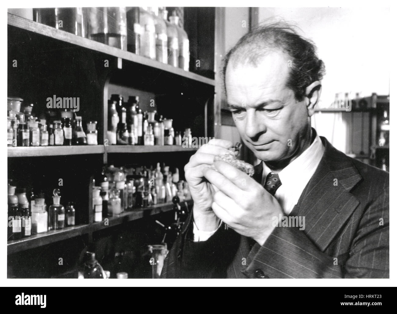 Linus carl pauling immagini e fotografie stock ad alta risoluzione - Alamy
