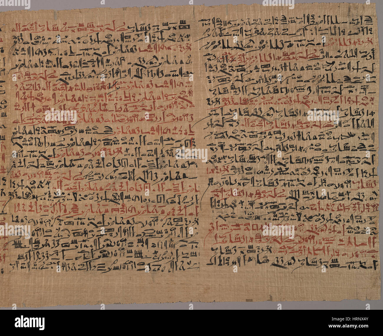 Edwin smith papyrus immagini e fotografie stock ad alta risoluzione - Alamy