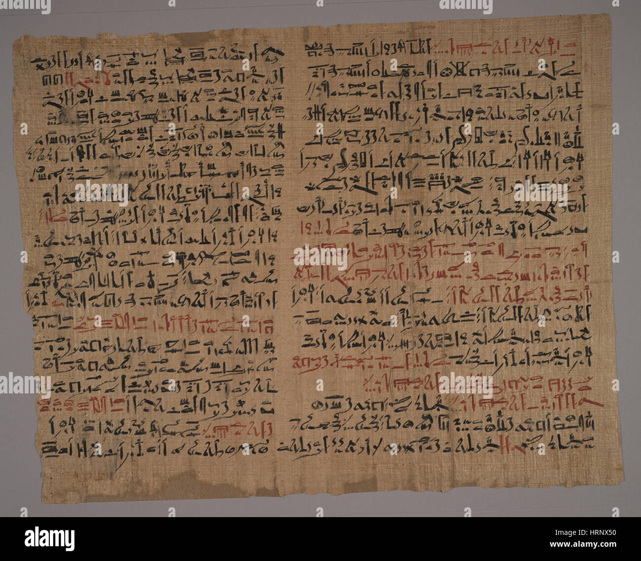 Edwin smith papyrus immagini e fotografie stock ad alta risoluzione - Alamy