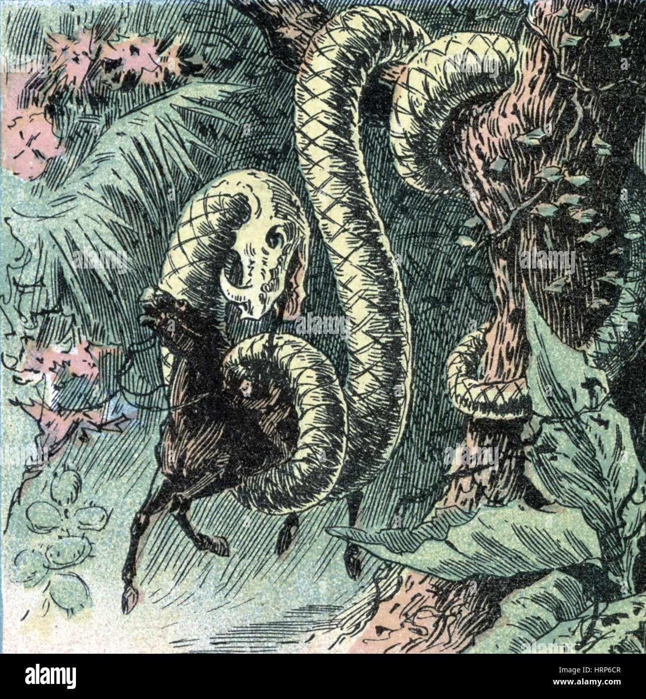 Mostro mitologico immagini e fotografie stock ad alta risoluzione - Alamy
