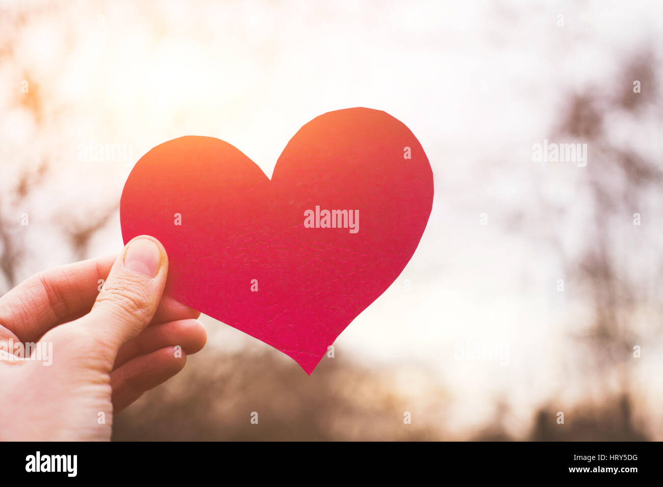 Sentimenti del cuore di amore immagini e fotografie stock ad alta ...