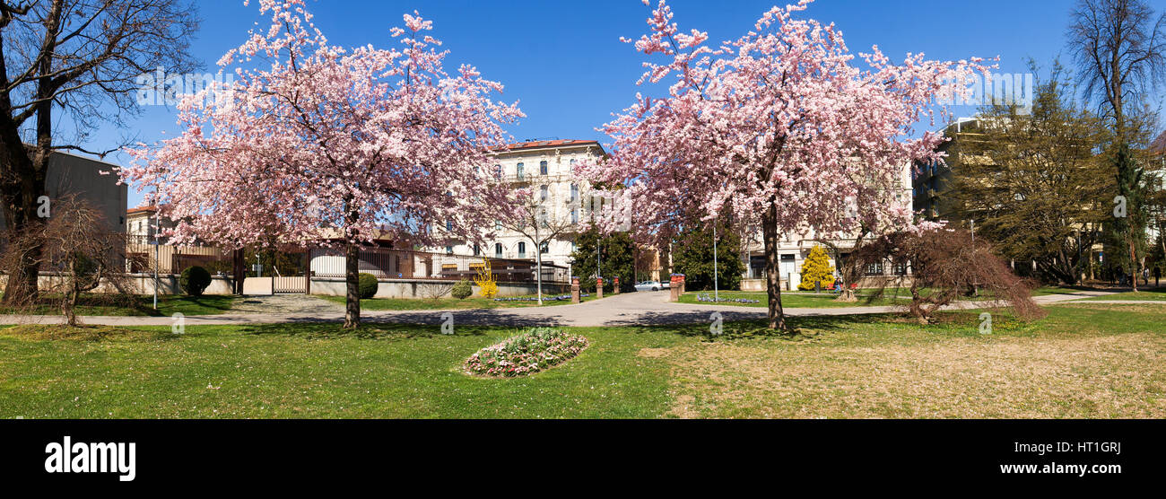 Parco ciani immagini e fotografie stock ad alta risoluzione - Alamy