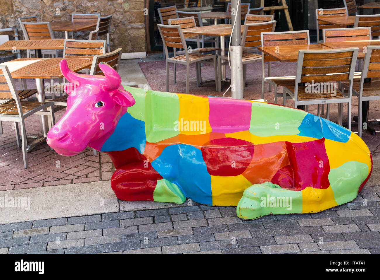 Mucca colorata immagini e fotografie stock ad alta risoluzione - Alamy