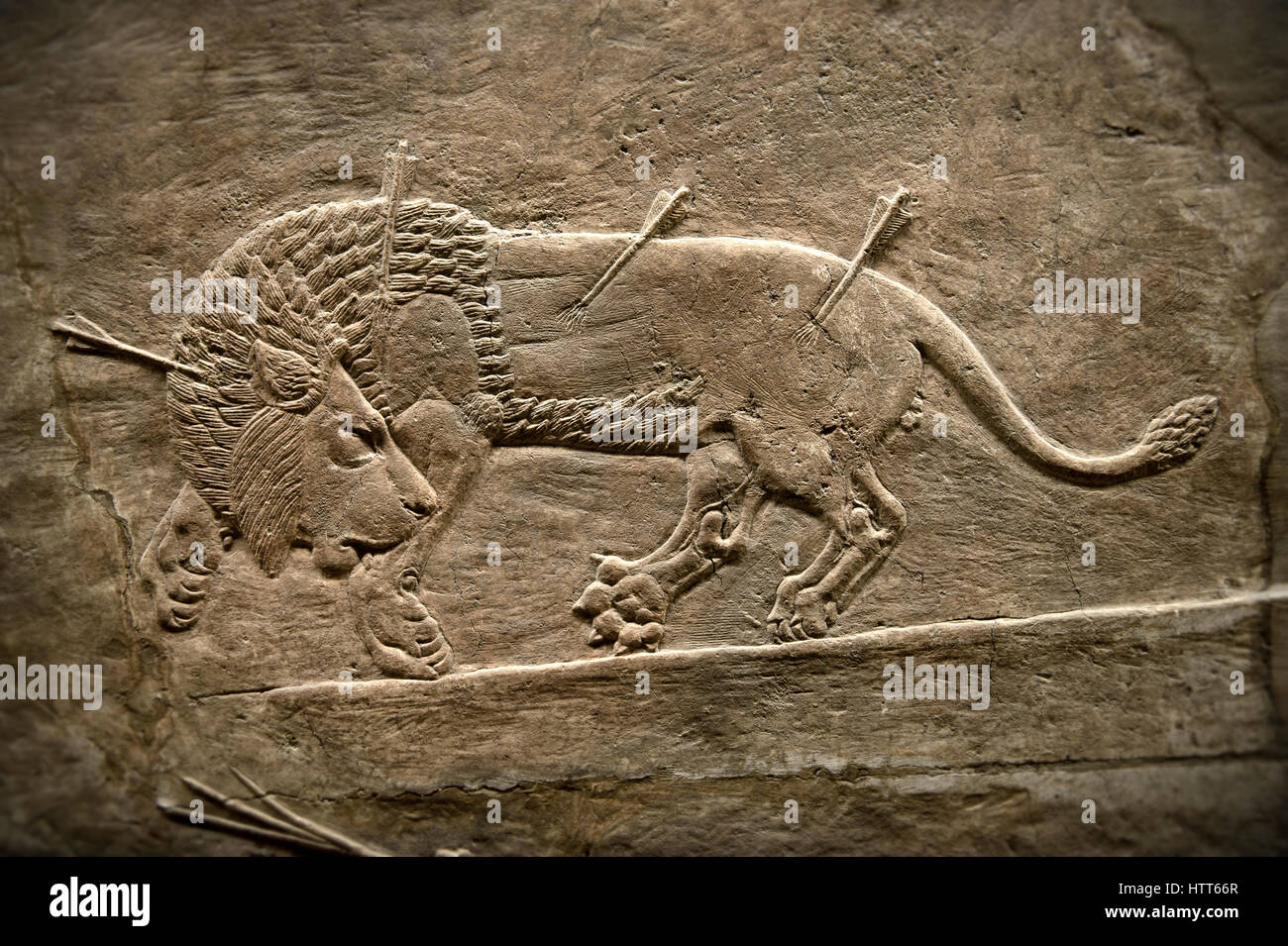 Rilievo assiro pannello di scultura dal lion hunt che mostra un leone ...