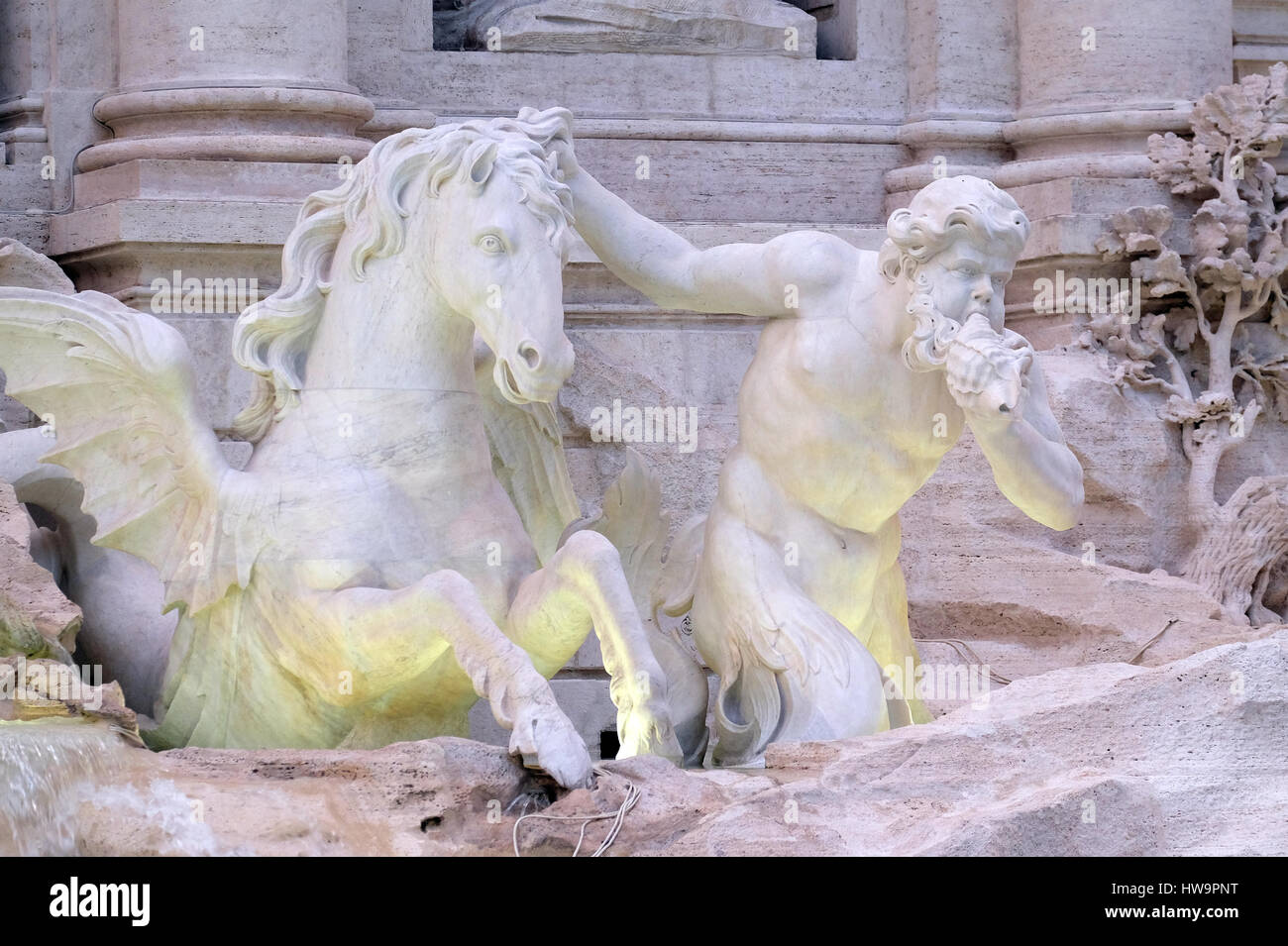 Triton e cavallo alato sulla Fontana di Trevi a Roma. Fontana di Trevi ...