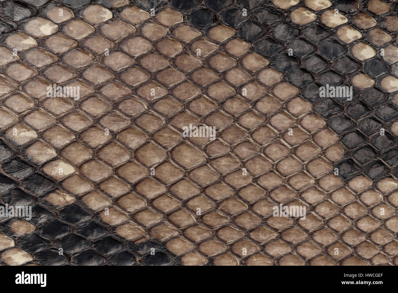 Snake leather cobra skin texture immagini e fotografie stock ad alta ...