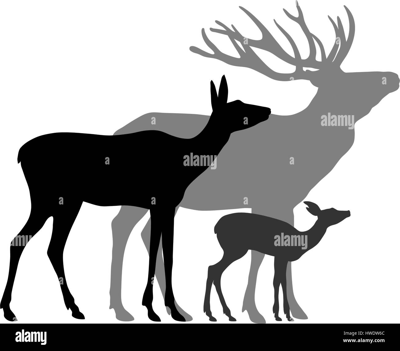 Illustrazione Vettoriale della famiglia Cervi sagome su sfondo bianco ...