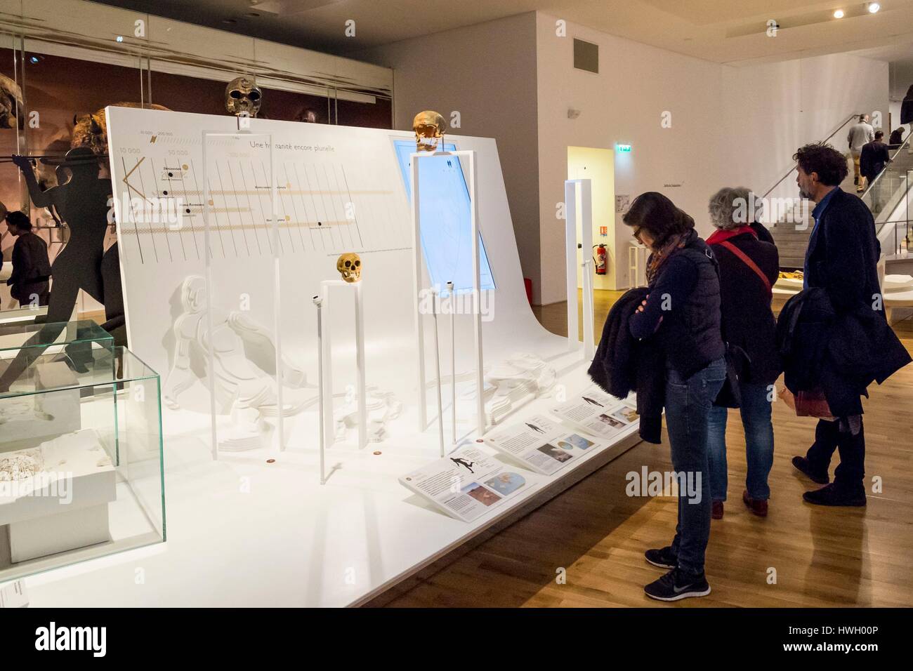 Francia, Parigi, il Museo dell'uomo, lo scheletro di Lucy Foto stock ...