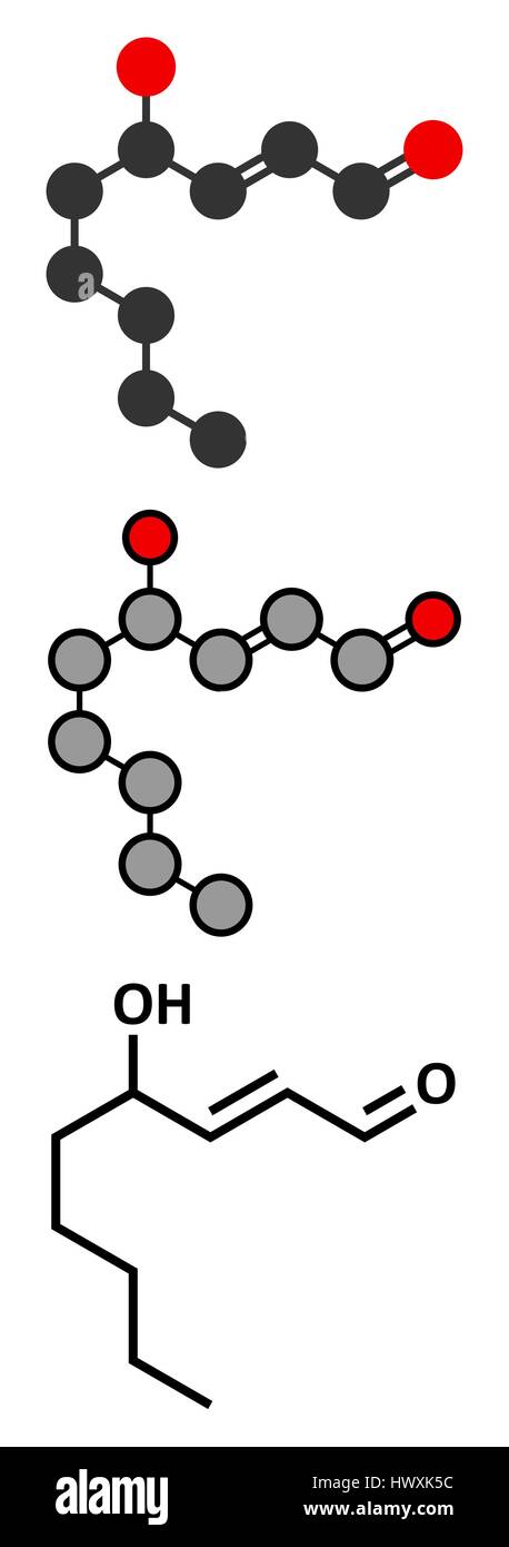 4-Hydroxynonenal (HNE) molecola. Metabolita prodotta dalla ...