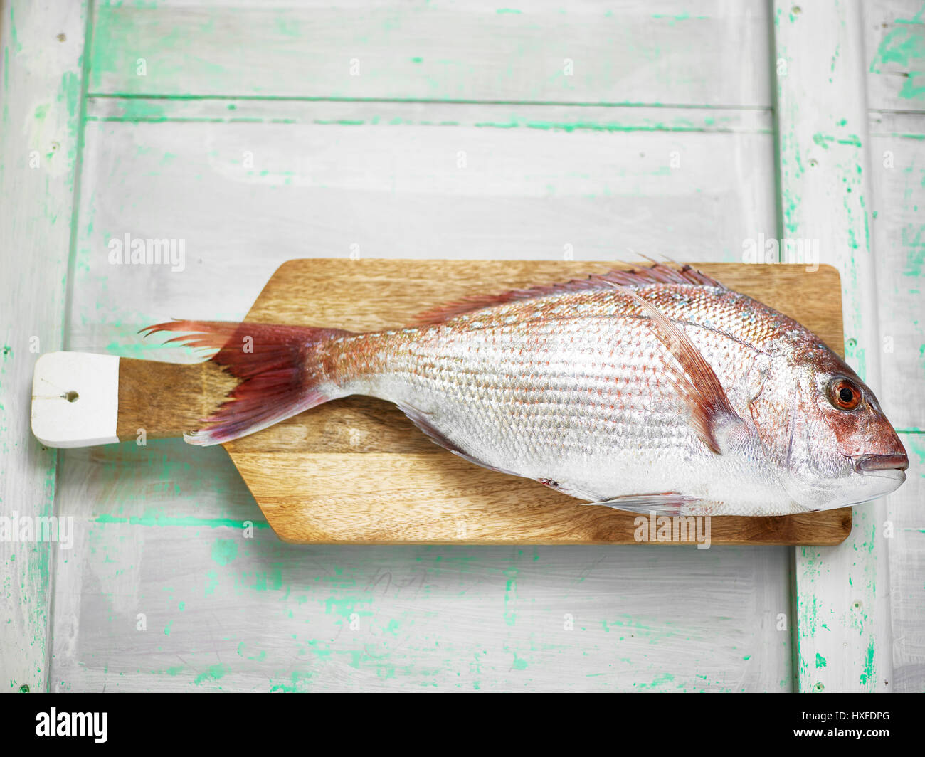 Pesce Che Pesca Immagini e Fotos Stock - Alamy