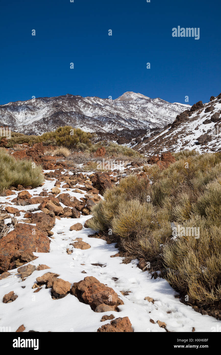 El pico de teide vulcano montagna immagini e fotografie stock ad alta ...
